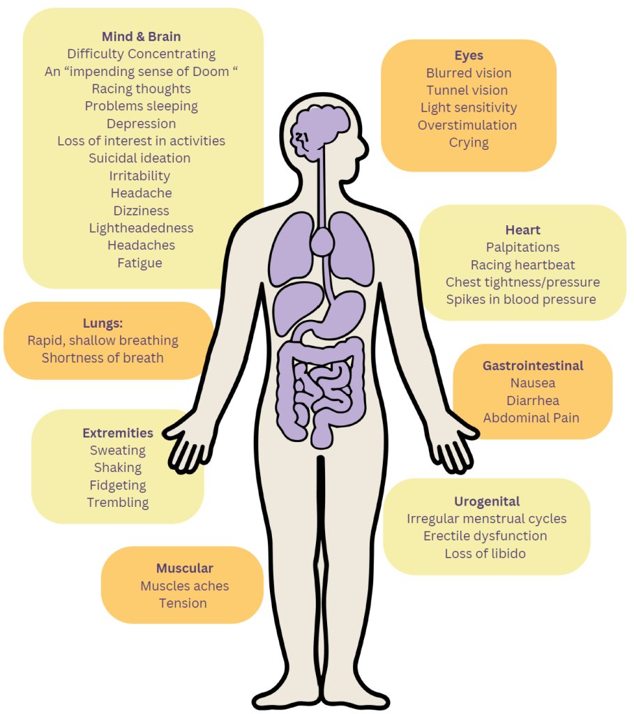 Therapy & Mind–Body Tools To Support Anxiety | Healing Family ...